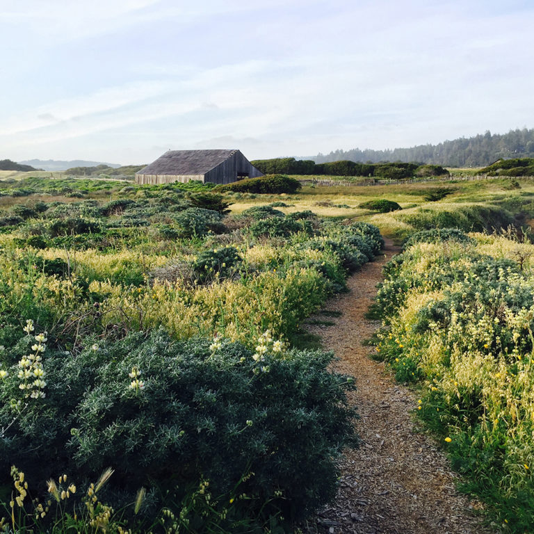 The Sea Ranch – Library of American Landscape History | LALH